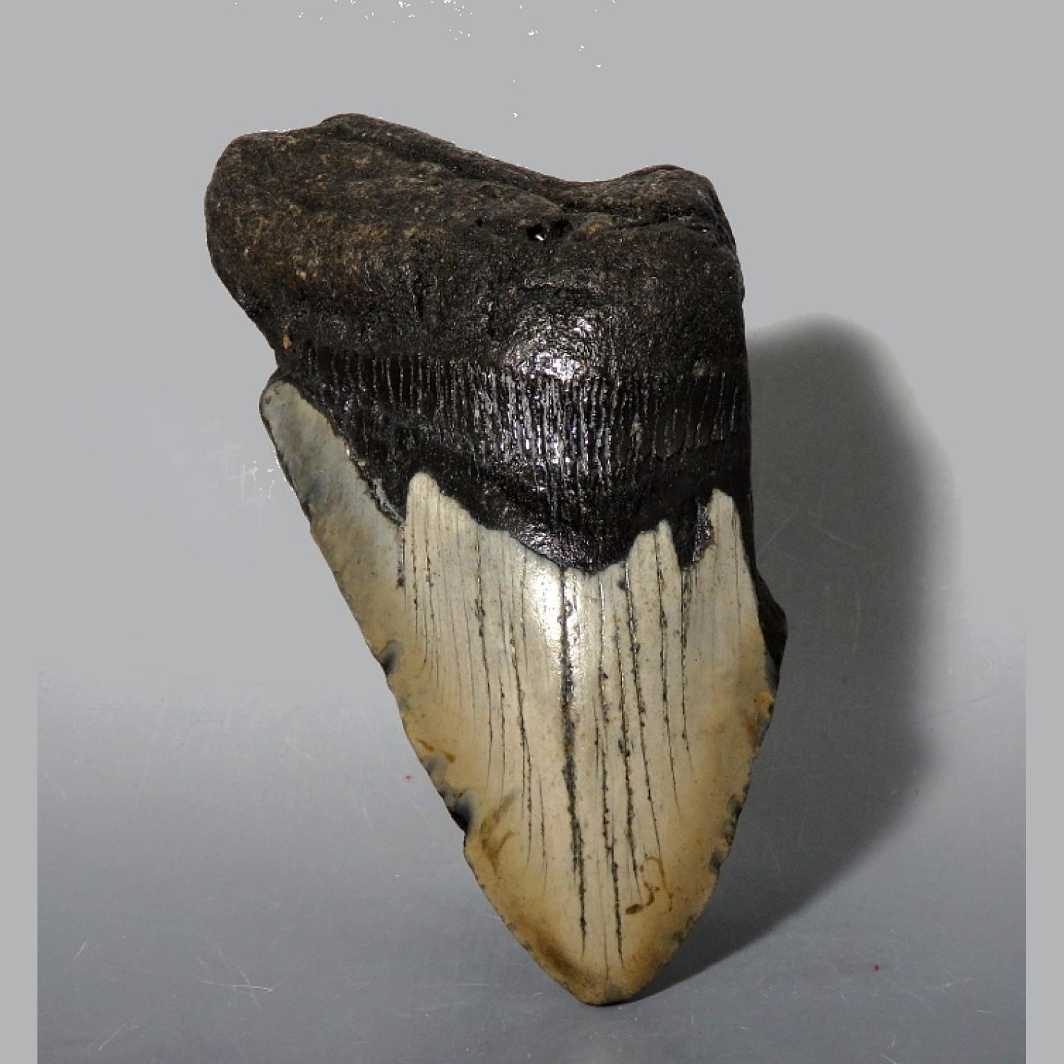 Stone Age Artefacts - Neolithic - Paleolithic - Bronze Age - Den of ...