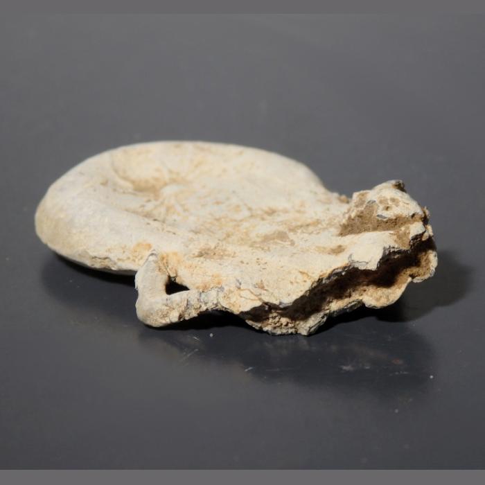 Medieval Lead Bromholm Pilgrims Ampulla - Den of Antiquity