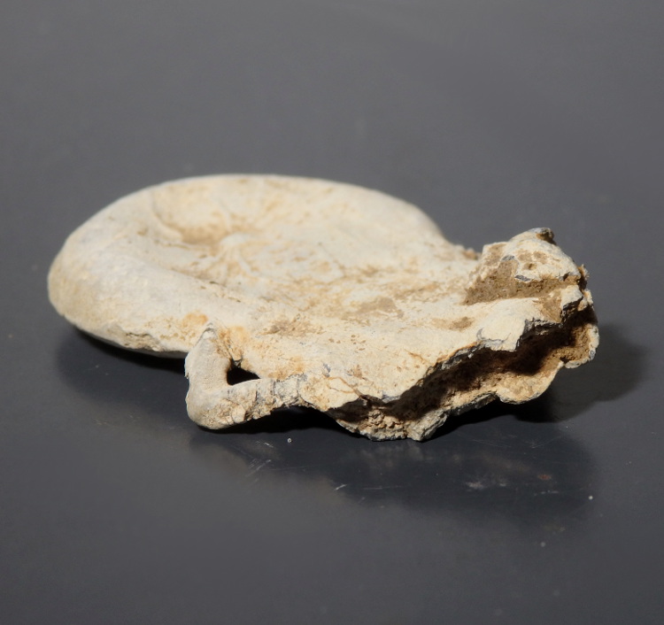 Medieval Lead Bromholm Pilgrims Ampulla - Den of Antiquity